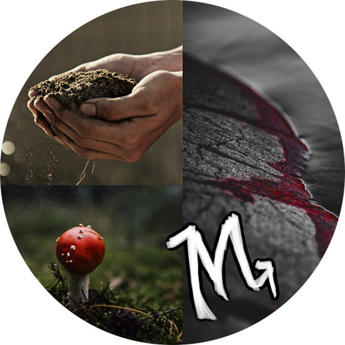 Scorpio | The Scorpion | FIXED WATER – AstroArtistry | by dianna fae