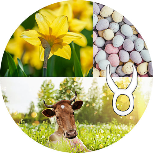 Taurus | The Bull | FIXED EARTH – darning the weave
